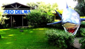Museo del Mar en Punta del Este - Que ver, Horarios y Como Llegar